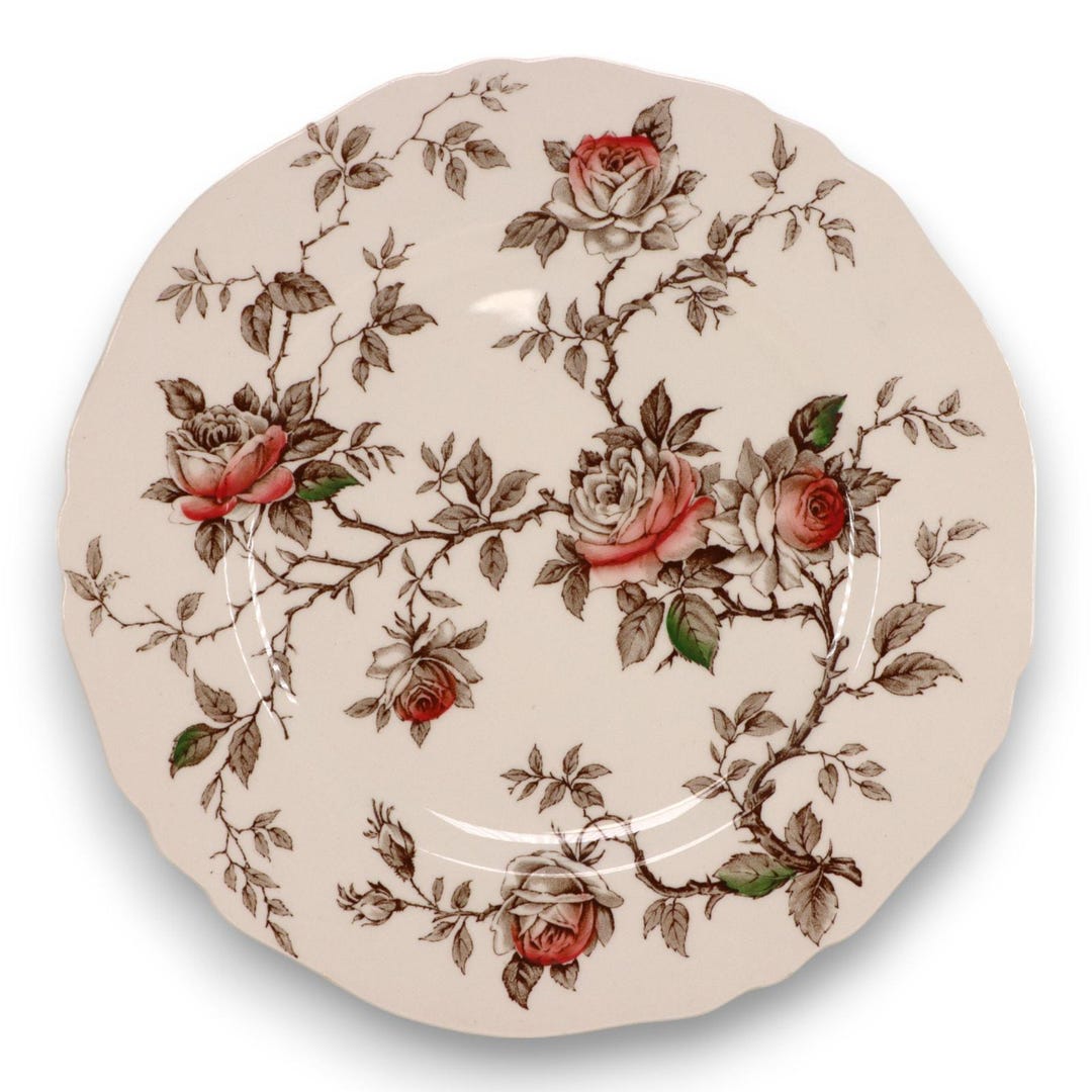 Alfred Meakin Rosa Brown Dinner Plates 10" Vintage 1950's - Etsy