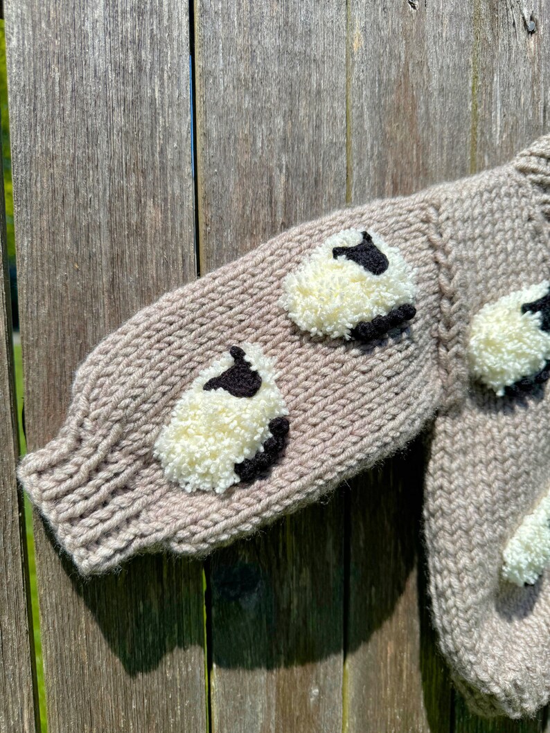 Baby Sheep 3D Cardigan Animals Sweater, Hand Knitted, 3D Embroidered ...