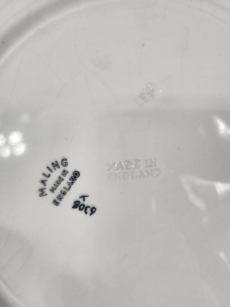 RARE Vintage Maling Majolica Plate | Hand-painted IRIS Cabinet Plate ...