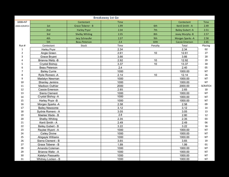 Custom Excel Templates - Etsy