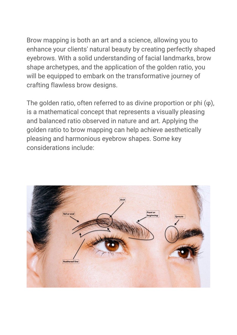 Eyebrow Mapping Canva Editable Manual Tutorial Brow Course Training ...