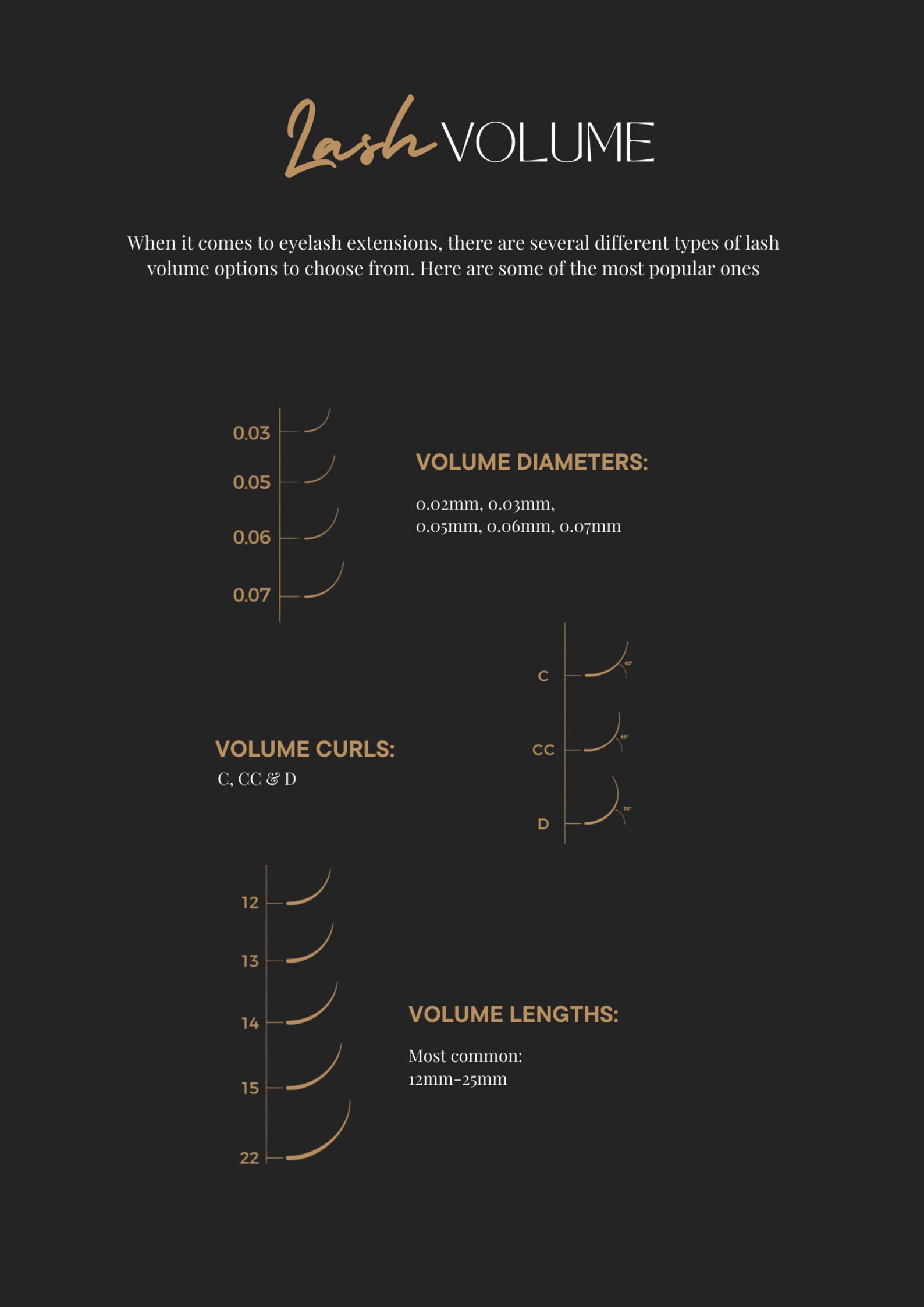 Lash Training Manual | Classic Hybrid Volume Training | Eyelash ...