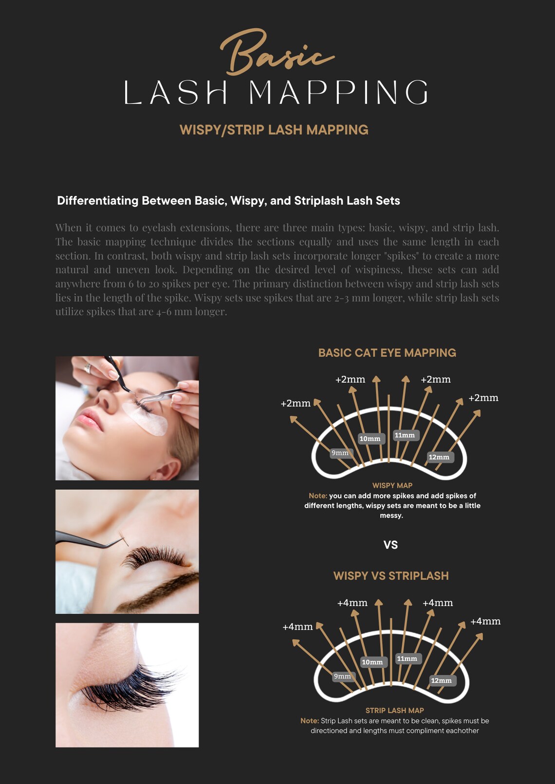 Lash Training Manual | Classic Hybrid Volume Training | Eyelash ...