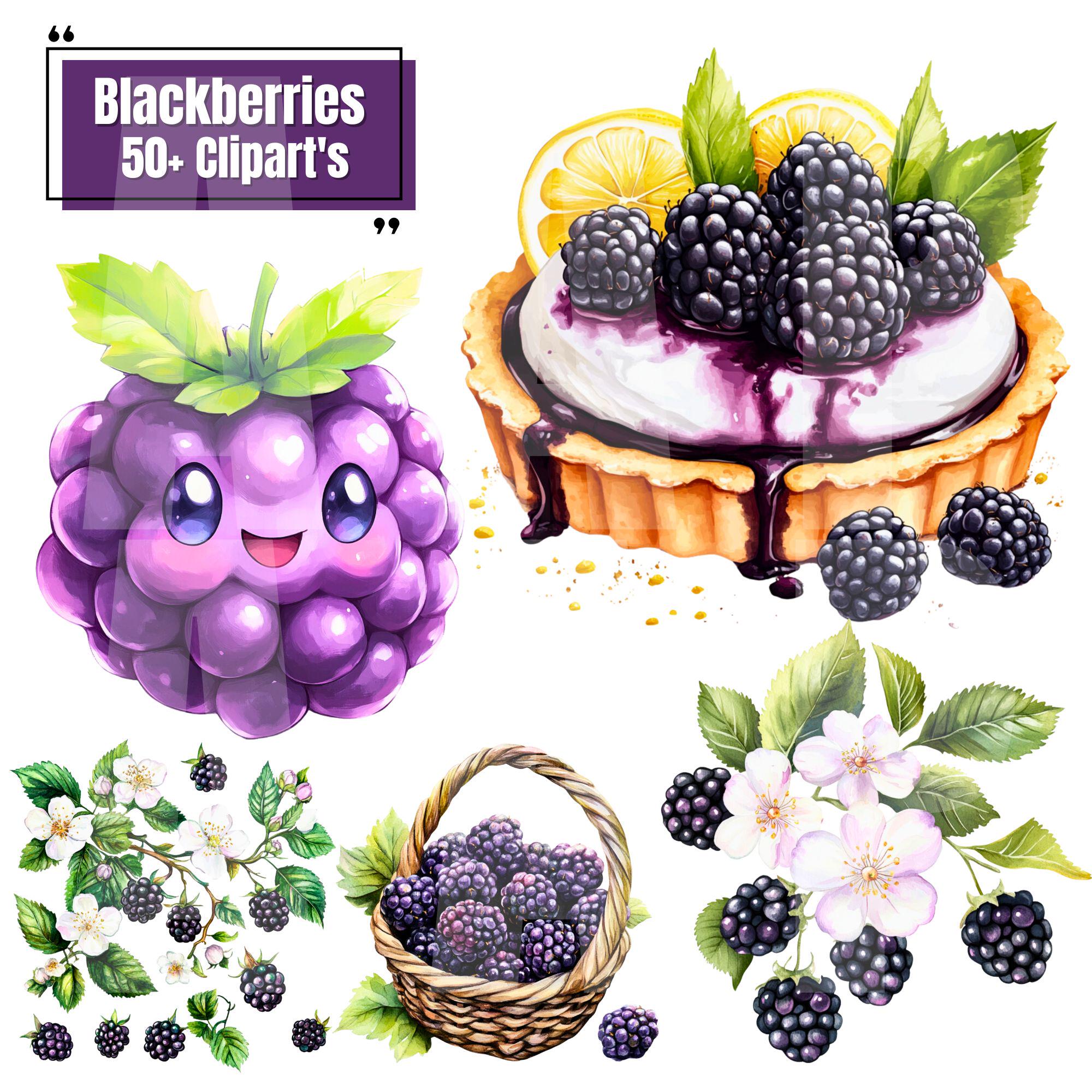 Blackberry Clipart Bundle Fruit Watercolor Blackberry Clip Art ...