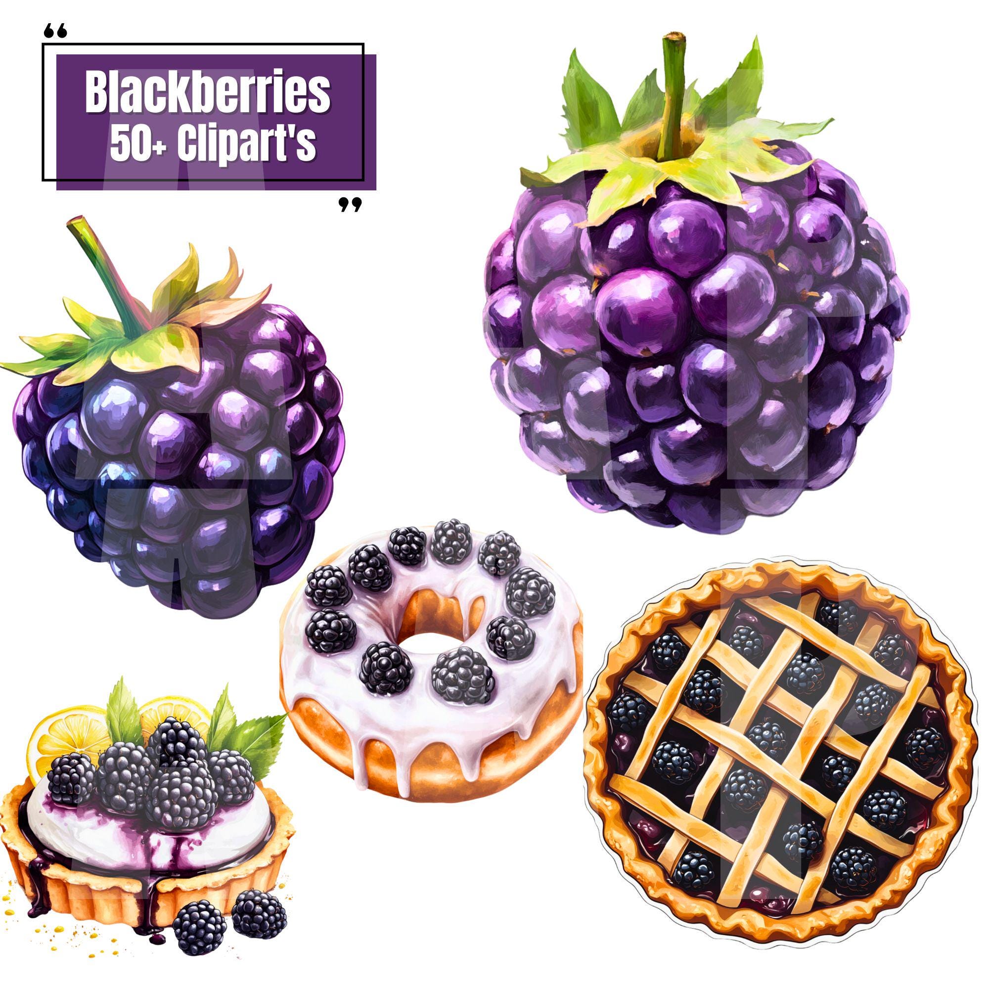 Blackberry Clipart Bundle Fruit Watercolor Blackberry Clip Art ...