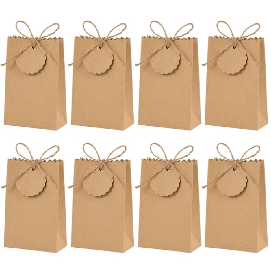10 Pack Extra Small Kraft Favour Bag, Mini Gift Bags for Parties With ...