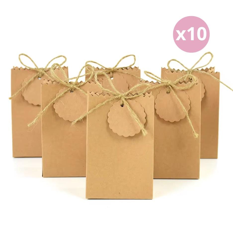 10 Pack Extra Small Kraft Favour Bag, Mini Gift Bags for Parties With ...