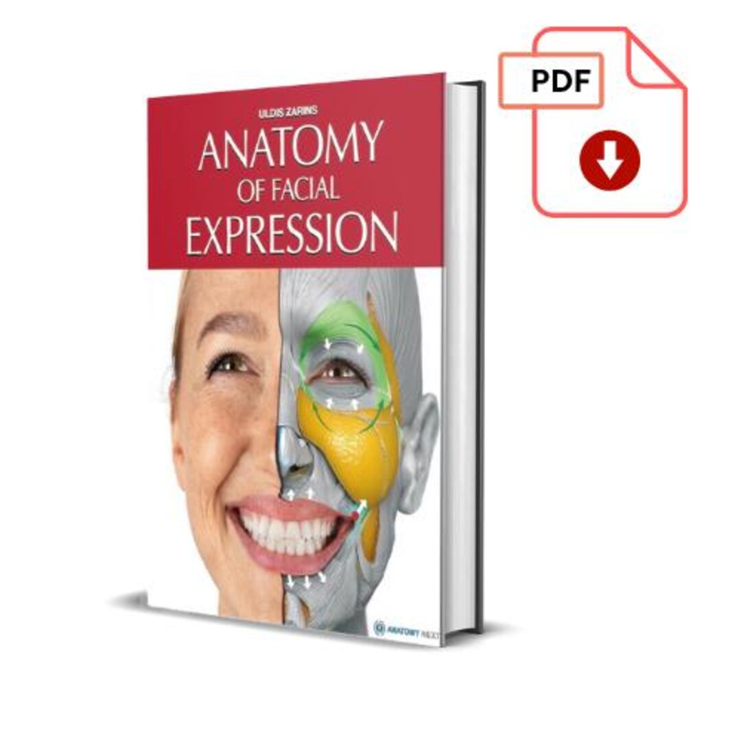 Anatomy of Facial Expressions - Etsy