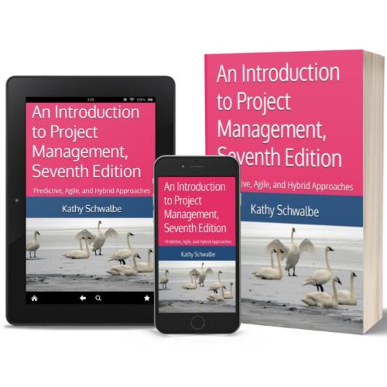 An Introduction to Project Management, Seventh Edition - Etsy