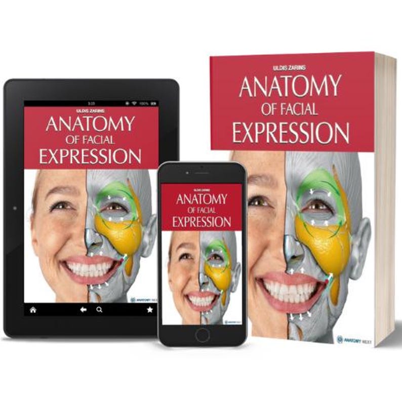 Anatomy of Facial Expressions - Etsy