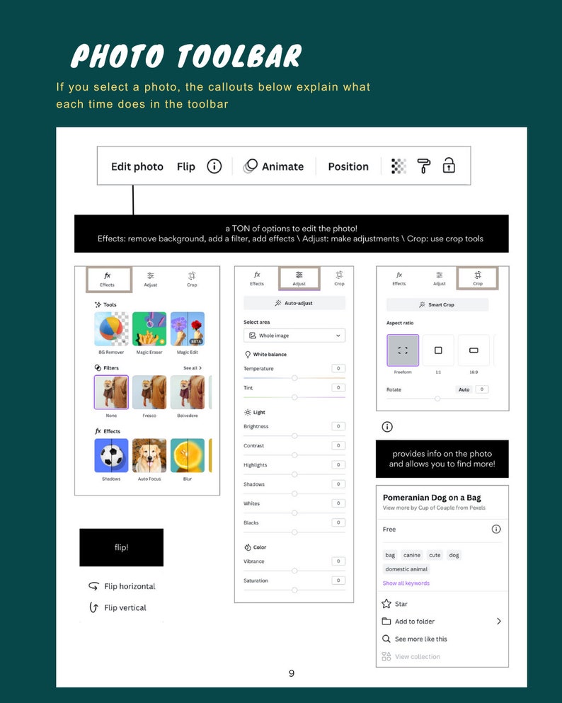 Digital Canva Guide, Design Software Tutorial, Online Marketing Course ...