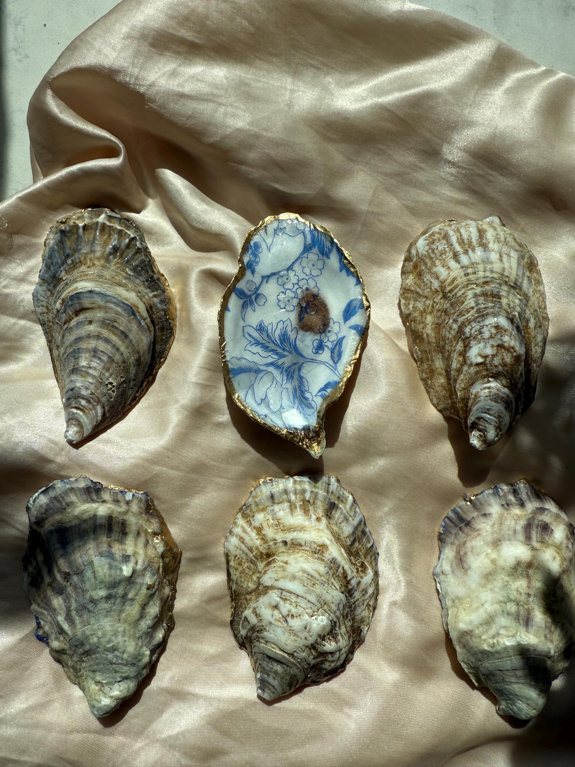 Oyster Shells Hand Painted Gold Rimmed - Etsy