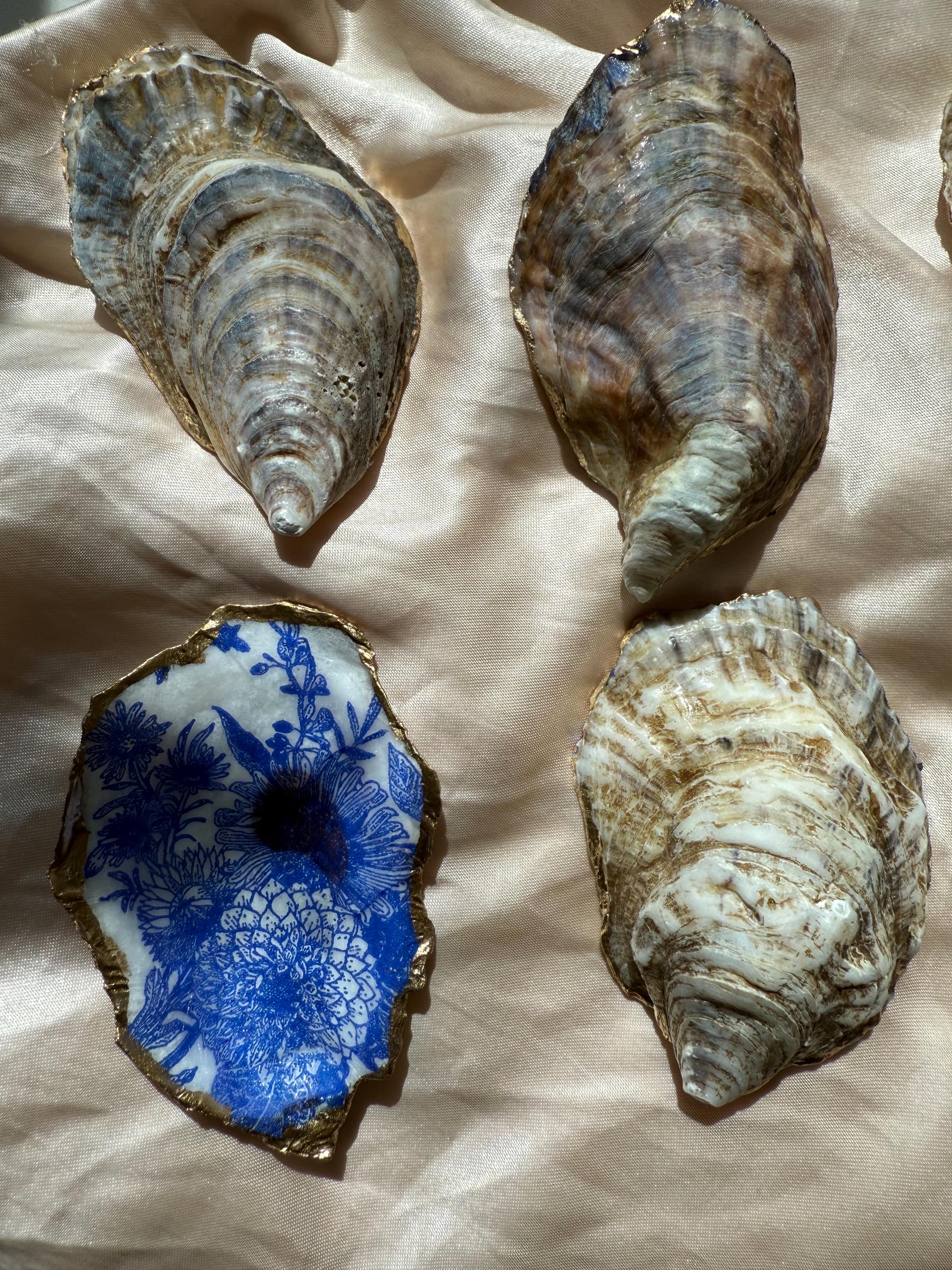 Oyster Shells Hand Painted Gold Rimmed - Etsy