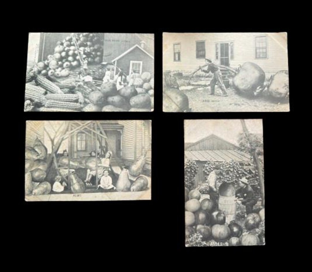 4 Vintage Edwardian Humour Exaggerated Fruit and Vegetable Postcards ...