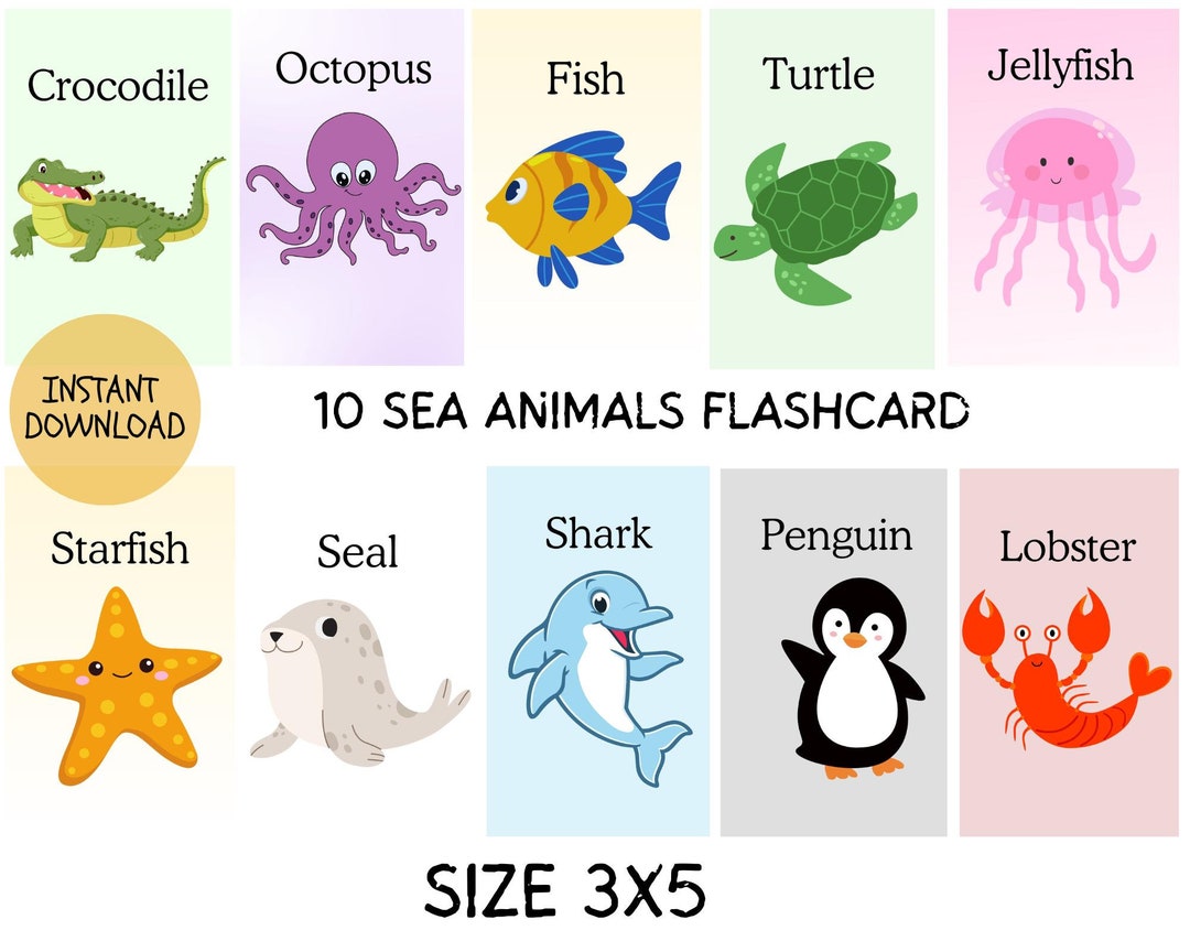 Sea Animals Printable Flashcard for Kids,educational Ocean Creature ...