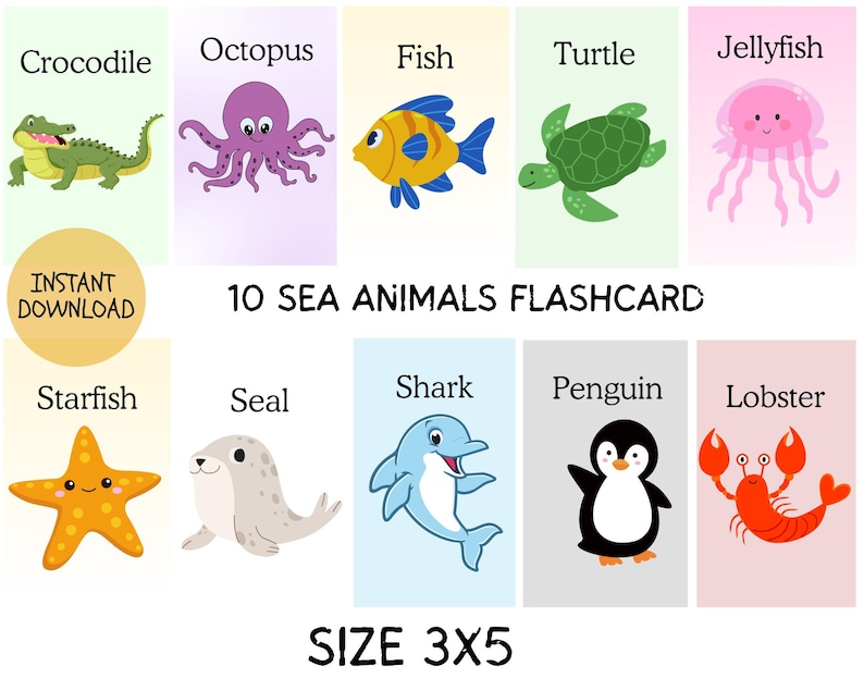 Sea Animals Printable Flashcard for Kids,educational Ocean Creature ...