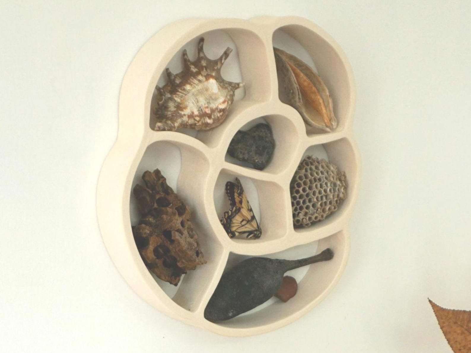 Nature Nest is an Organic Modern Ceramic Wall Sculpture & Curiosity ...