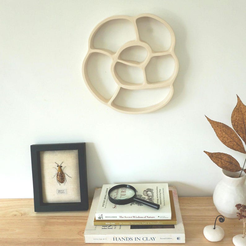 Nature Nest is an Organic Modern Ceramic Wall Sculpture & Curiosity ...
