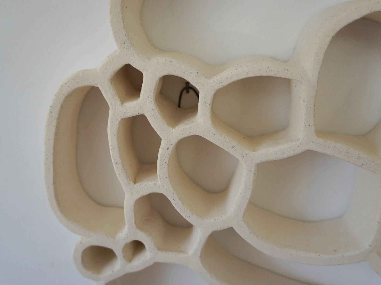 Nature Nest Nature Wall Art Ceramic Sculpture Handmade Curiosity ...