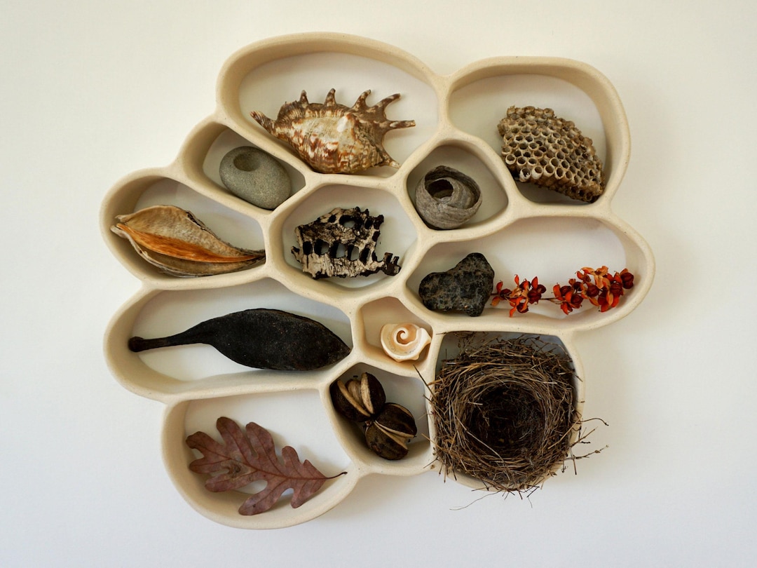Nature Nest is an Organic Modern Ceramic Wall Sculpture & Curiosity ...