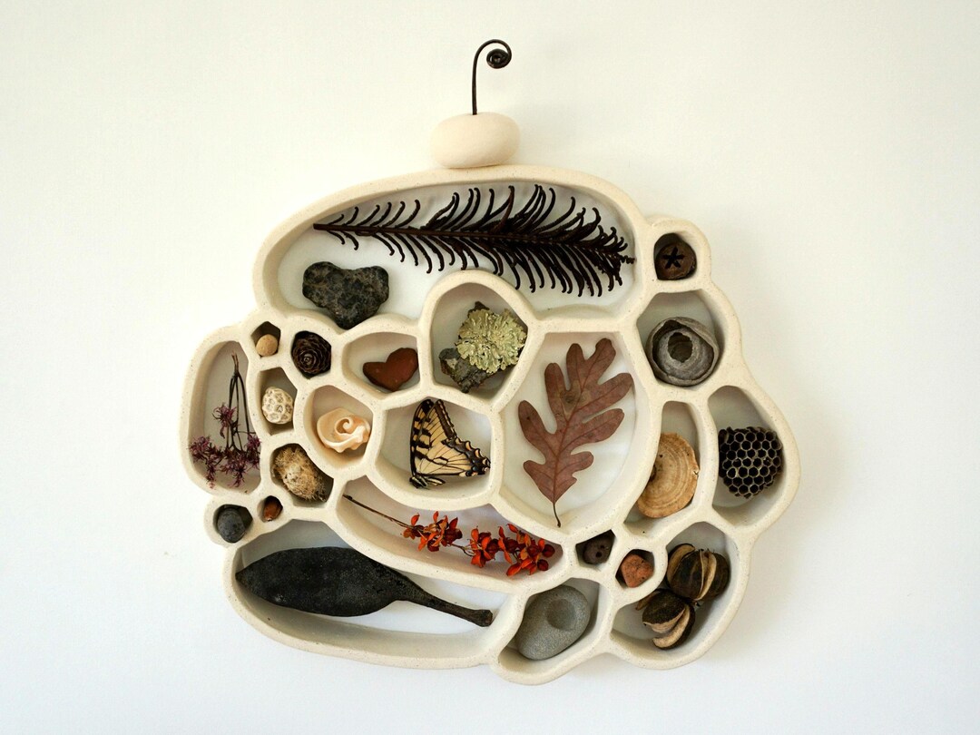 Nature Nest Nature Wall Art Ceramic Sculpture Handmade Curiosity ...