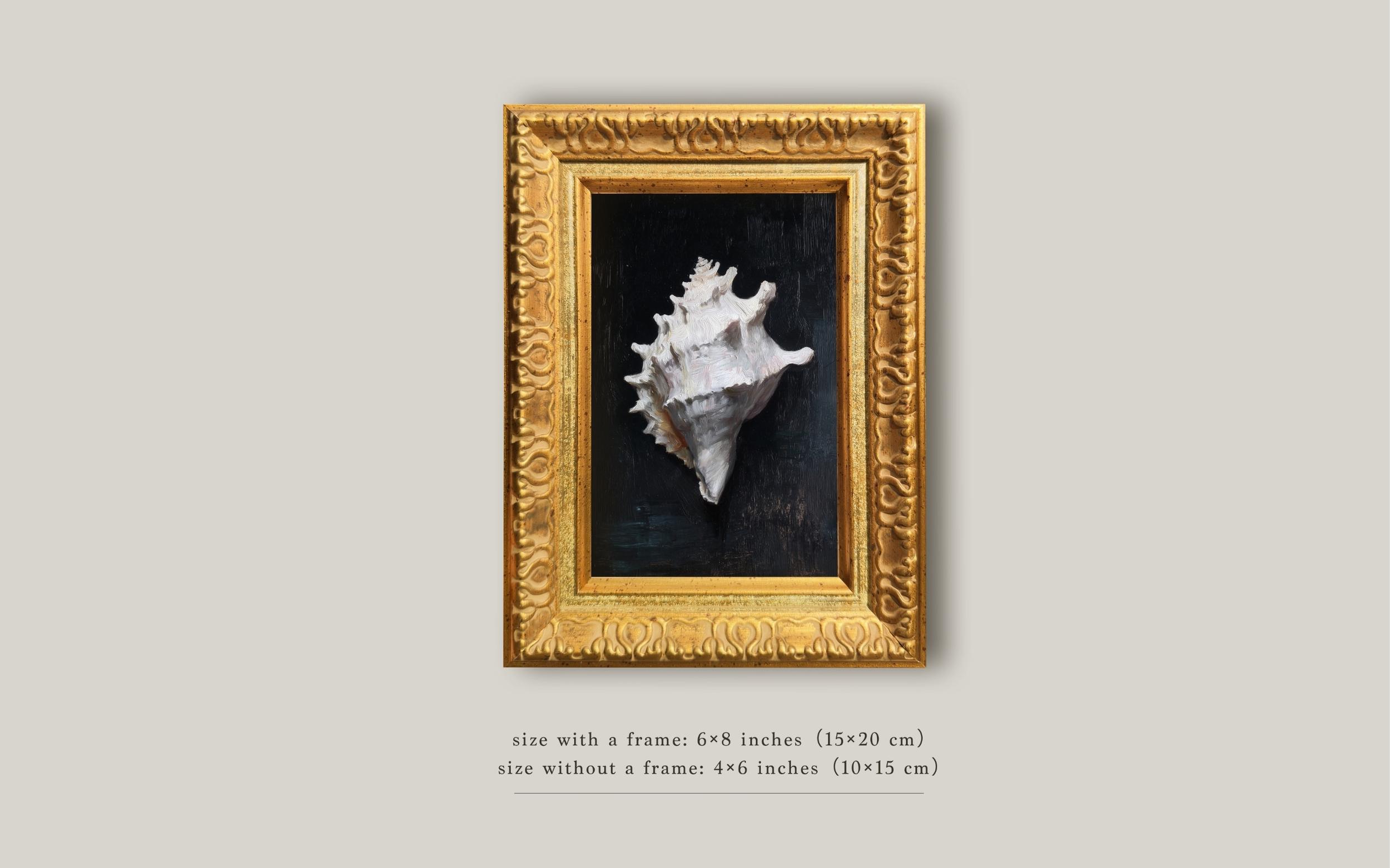 Conch Shell Still Life Oil Painting on Canvas Original Seashell Artwork ...