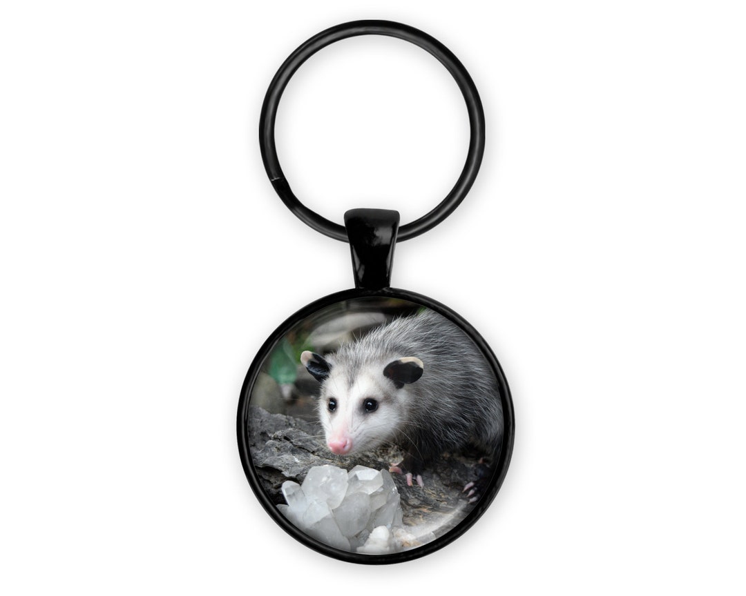 Opossum Key Ring Possum With Crystals Rehab Gift Wildlife - Etsy