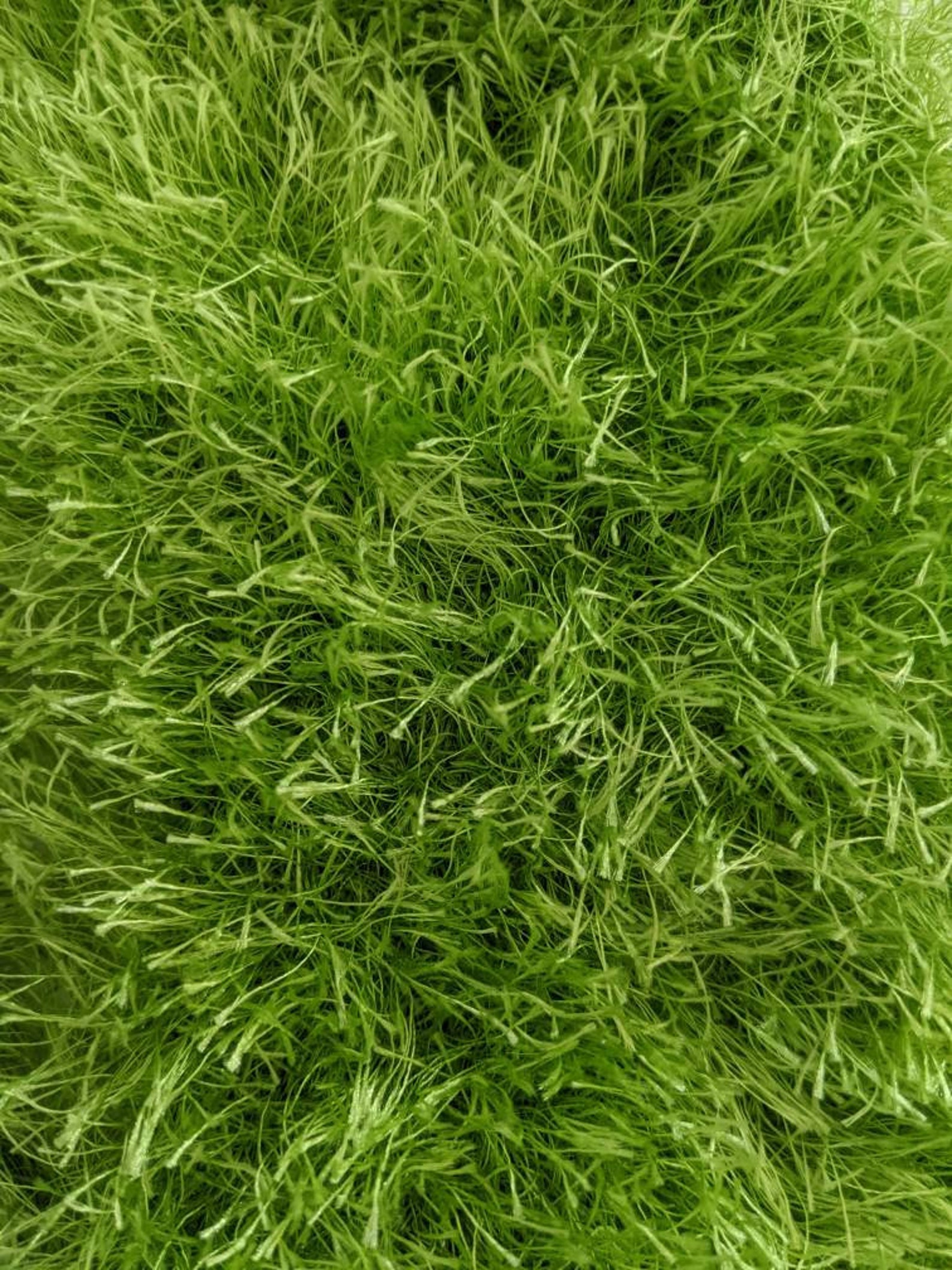 New Handmade Fuzzy Soft Knit Scarf in Pear Green Eyelash Yarn - 5" X 72 ...