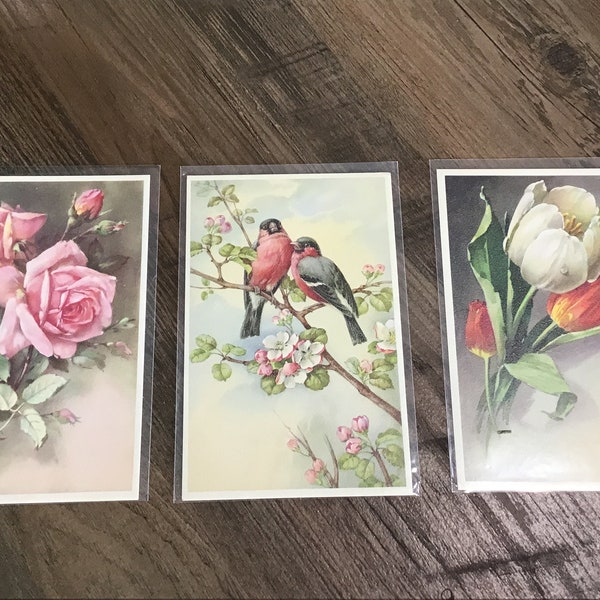 Alfred Mainzer - Etsy