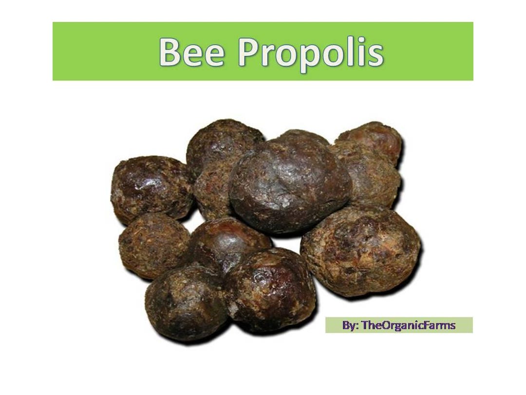 Pure Bee Propolis Bees Made Directly From Our Bee Hives (without Any ...