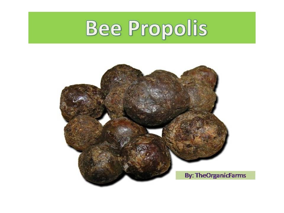 Pure Bee Propolis Bees Made Directly From Our Bee Hives (without Any ...