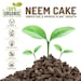 Neem Cake Whole and Powder, Neem Khal Powder, Organic Cake Powder for ...