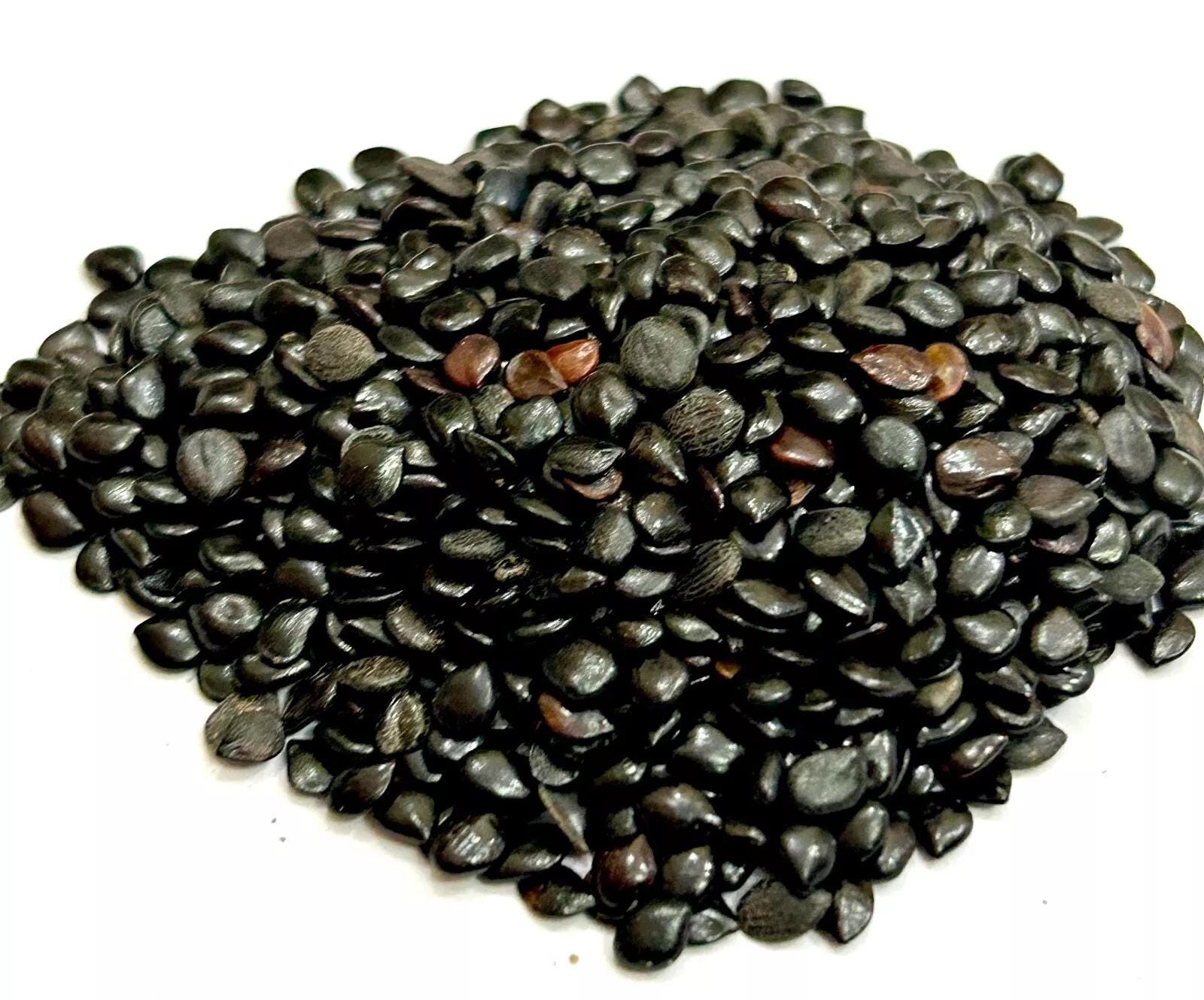 Organic Chaksoo Seed, Natural Chaksoo Seed, Chaksoo Seed, Raw Herbs ...