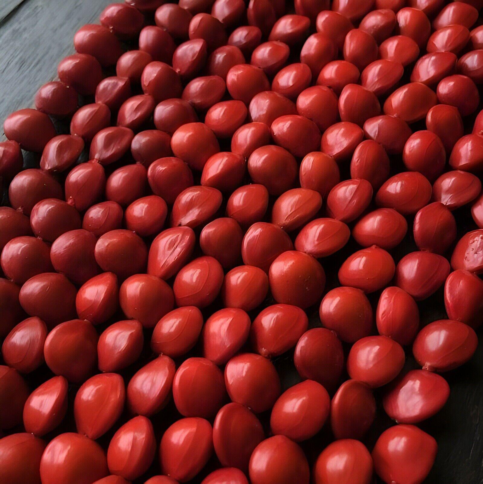 Red Sandalwood Plant Seeds, Lal Chandan Beej, Red Chandan Seeds , A ...