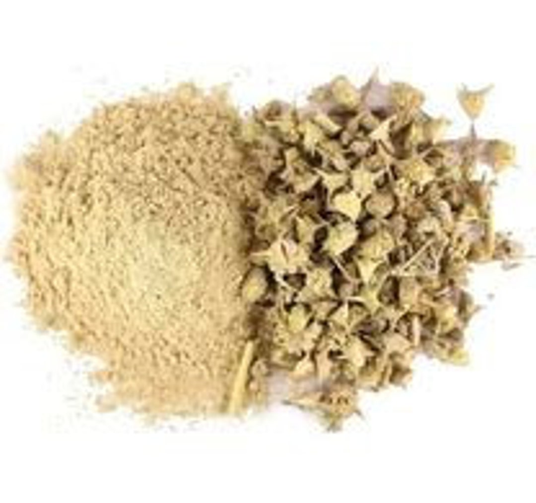Gokhru Seeds and Powder, Natural Tribulus Terrestris Seeds - Gokharu ...