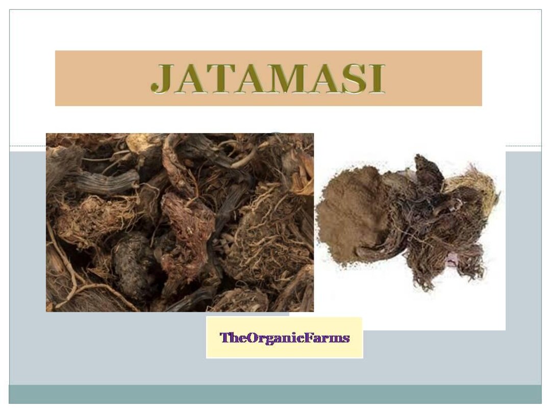 Nardus Jatamansi Root and Powder, Balchar, Nardostachys, Jatamansi ...