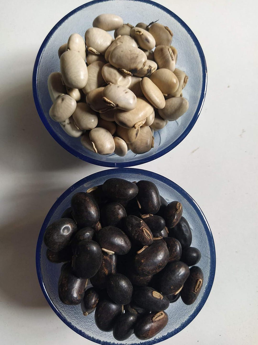 Kapikacchu, Black Kaunch Beej, White Kaunch Beej, Cowitch, Cowhage ...