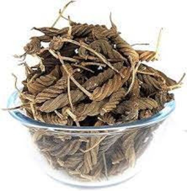 Helicteres Isora Powder, Marod Phali, Maror Fali, Indian Screw ...