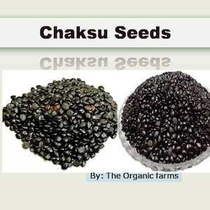 Organic Chaksoo Seed, Natural Chaksoo Seed, Chaksoo Seed, Raw Herbs ...