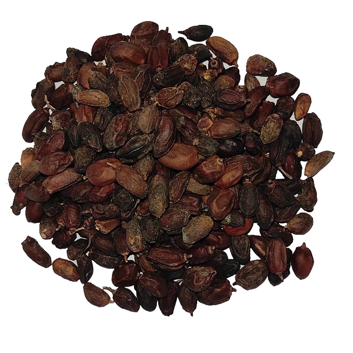Neem Tree Seeds, Nimboli, Azadirachta Indica Seed, Neem Seed, Neem Beej, Neem Giri, Niboli ...