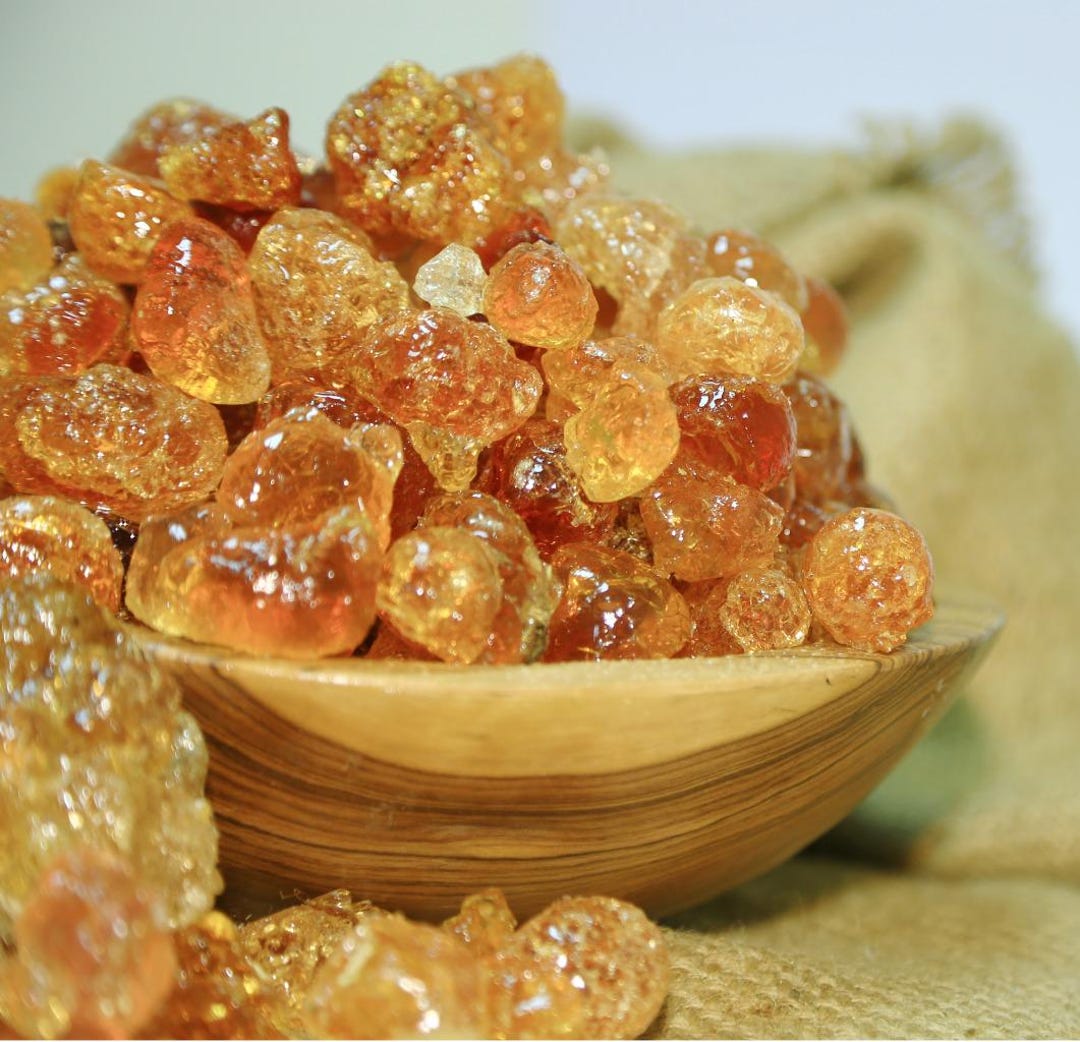 Acacia Gum Arabic - Wild Babool Gond, Indian Tree Tears - Etsy