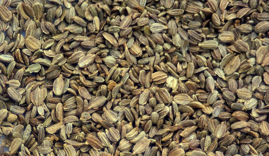 Dried Carrot Seeds (edible), Red Gajar Ke Beej, Daucus Carota, Indian ...