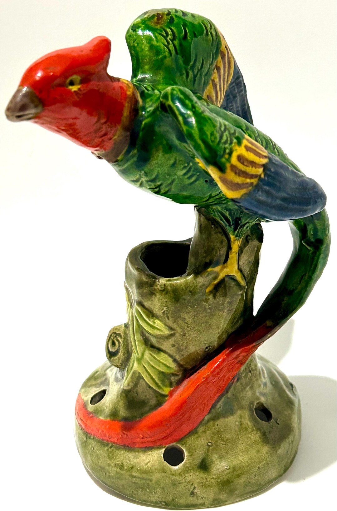 Beautiful Long Tailed Tropical Bird on a Tree Trunk Flower Frog - Etsy