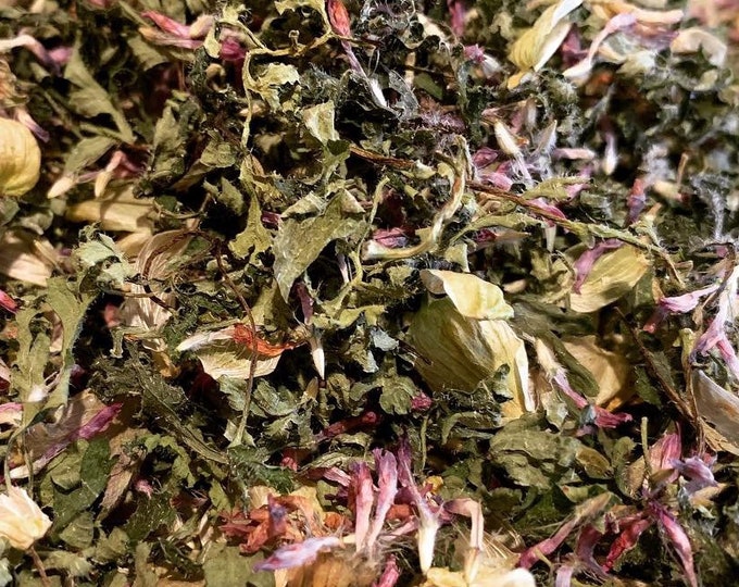 Gastro-tea - Etsy Canada