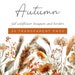 Brown Fall Watercolor Floral Clipart Orange Flower Bouquets and Borders ...