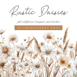 Fall Daisies Watercolor Bouquets and Borders Rustic Daisy Wildflower ...