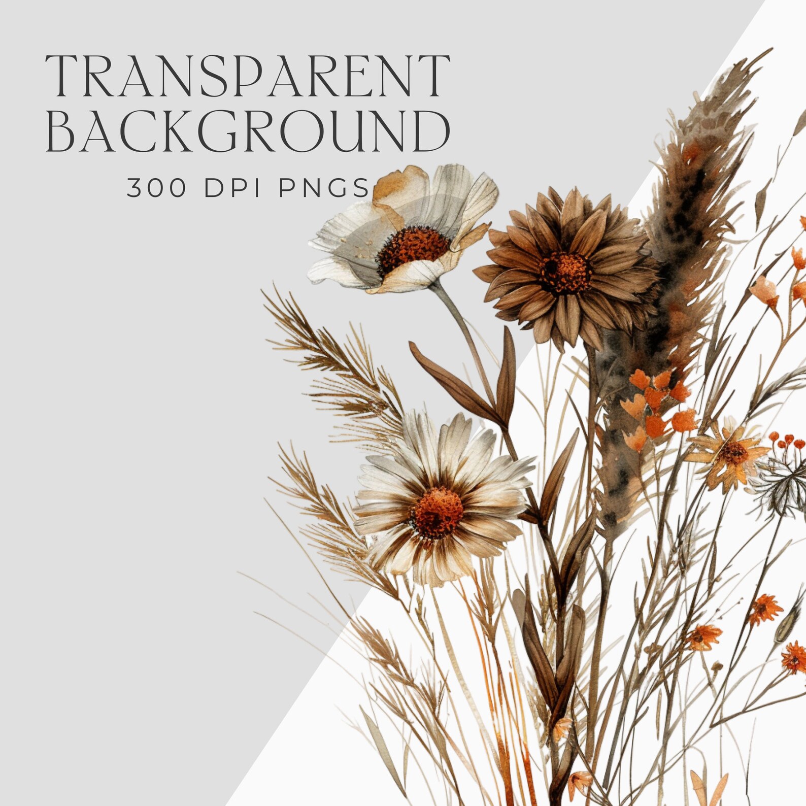 Brown Fall Watercolor Floral Clipart Orange Flower Bouquets and Borders ...