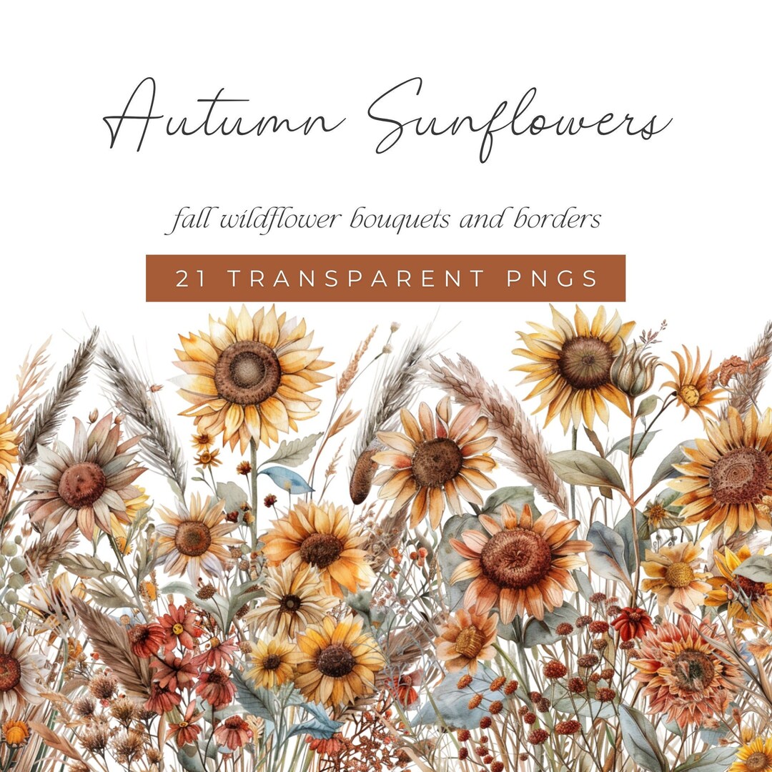 Autumn Sunflower Watercolor Clipart, Sunflower Clipart, Sunflower ...