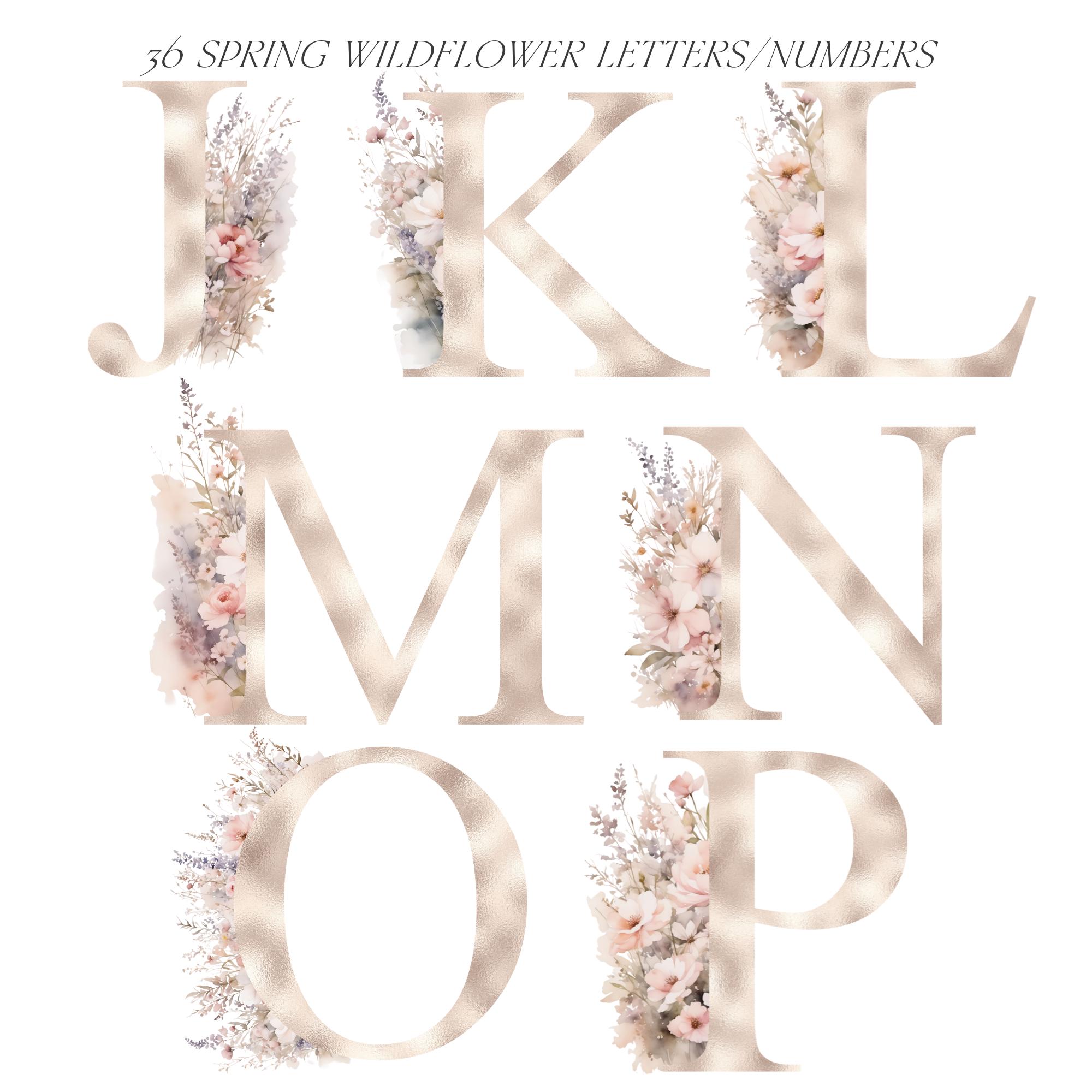 Wildflower Letters and Numbers Clipart, Floral Alphabet Pngs, Botanical ...