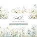 Light Sage Watercolor Floral Border, Green Wildflower Borders ...